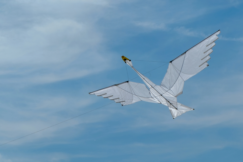 Kite Building – www.peterbindon.com